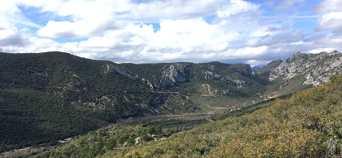 The Agly massif and its peripheral basins in the Lower Cretaceous ...